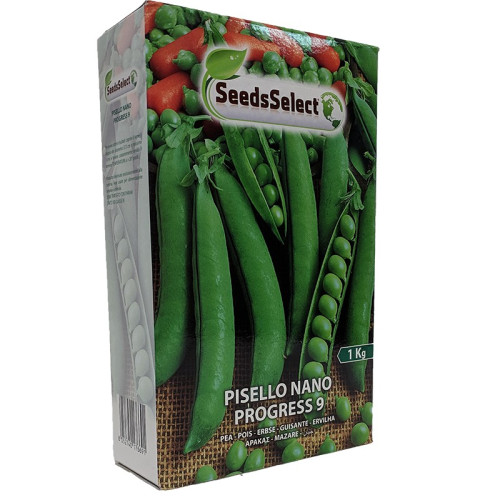 Acquista online Pisello Nano Progress 9 1 Kg - Legumi SeedsSelect ...